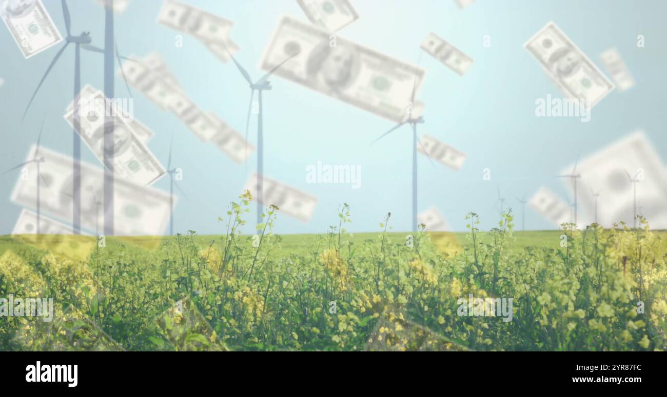 Falling field hi-res stock photography and images - Alamy