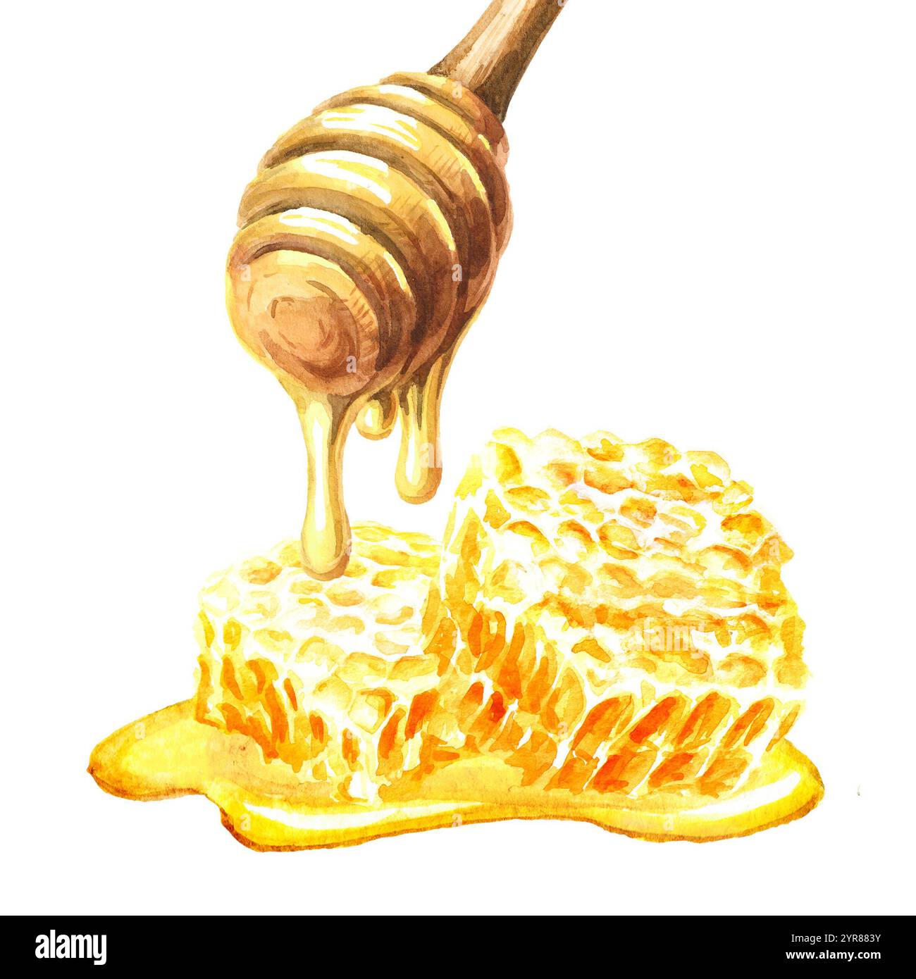 Sweet honey, fresh raw honeycomb with wooden dipper. Watercolor hand ...