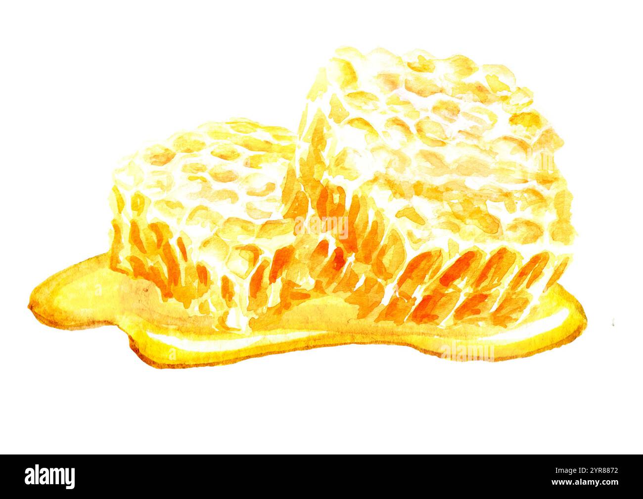 Sweet honey, fresh raw honeycomb. Watercolor hand drawn illustration ...
