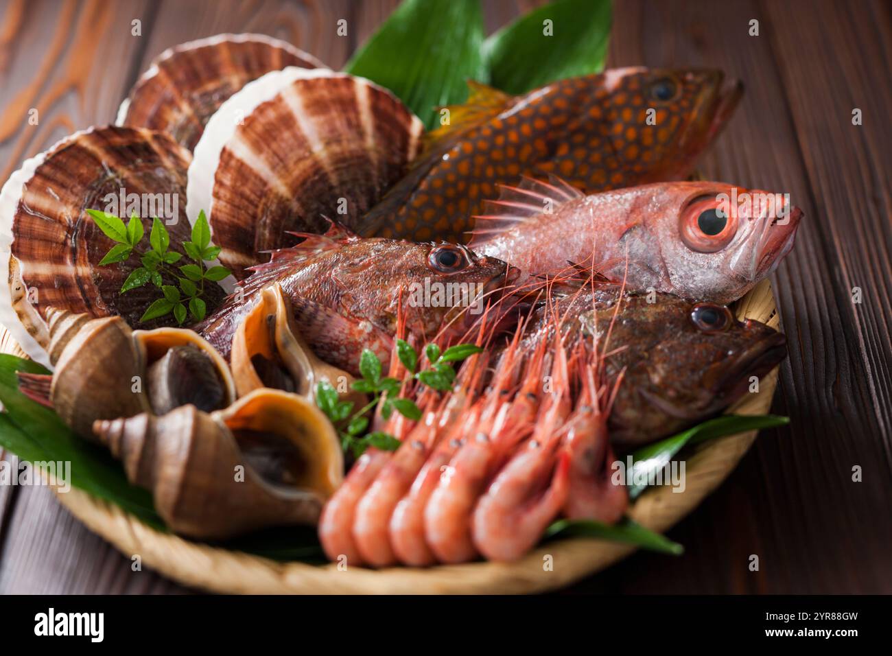 Hokkai fresh fish set Stock Photo - Alamy