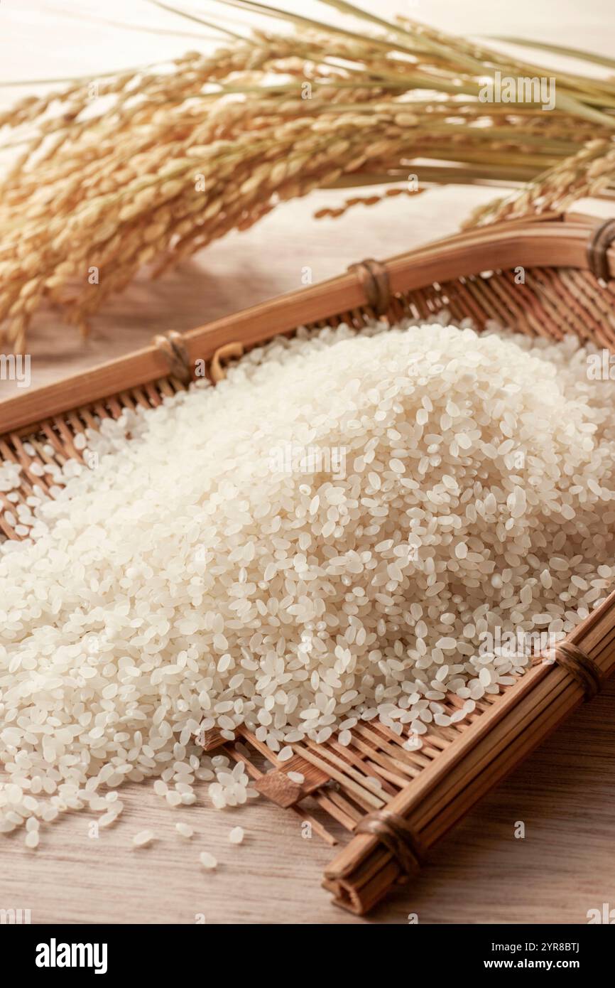 Rice and ears of rice Stock Photo - Alamy