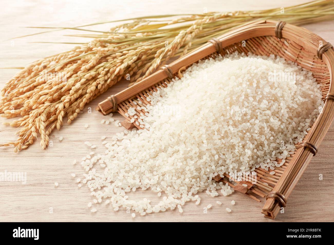 Rice and ears of rice Stock Photo - Alamy