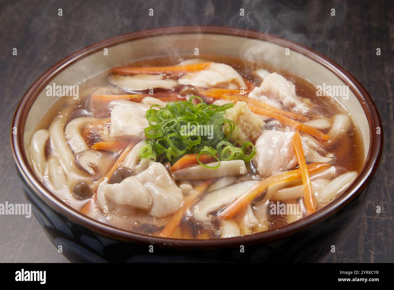 Ankake udon noodles with lots of ingredients Stock Photo - Alamy