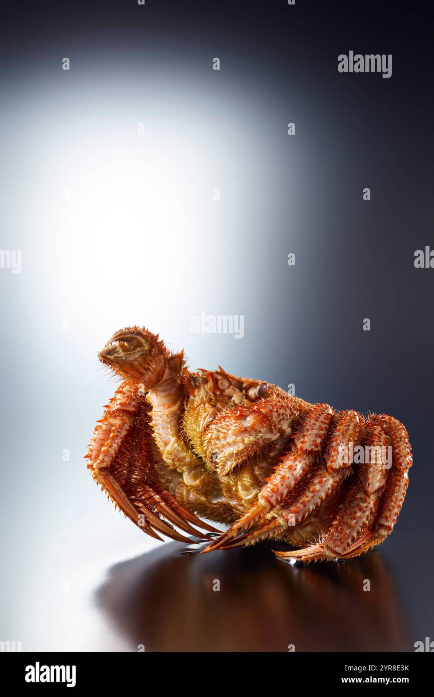 V sign of hair crab Stock Photo - Alamy