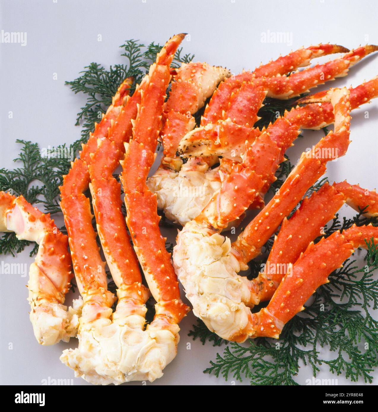 Set king red crab hi-res stock photography and images - Alamy