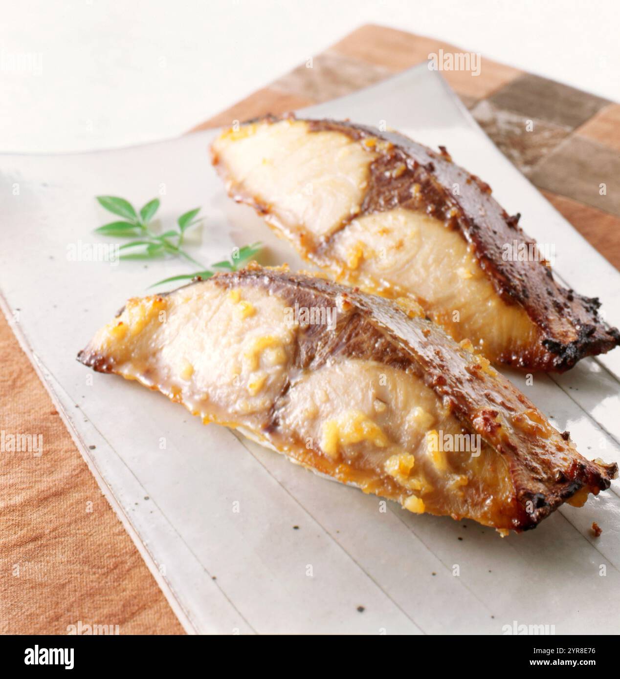 Yellowtail amberjack fish hi-res stock photography and images - Alamy