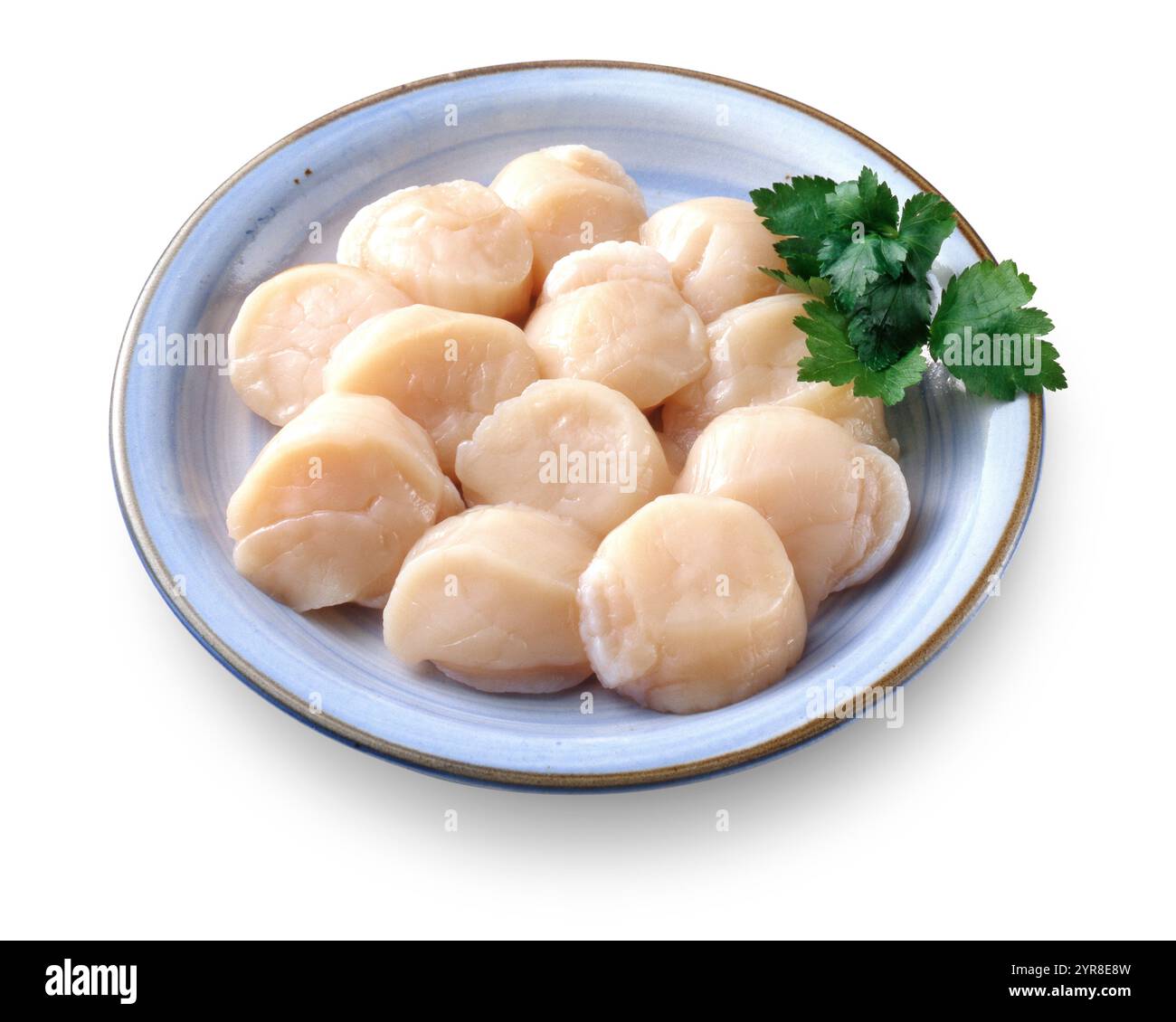 Muscle plate hi-res stock photography and images - Alamy