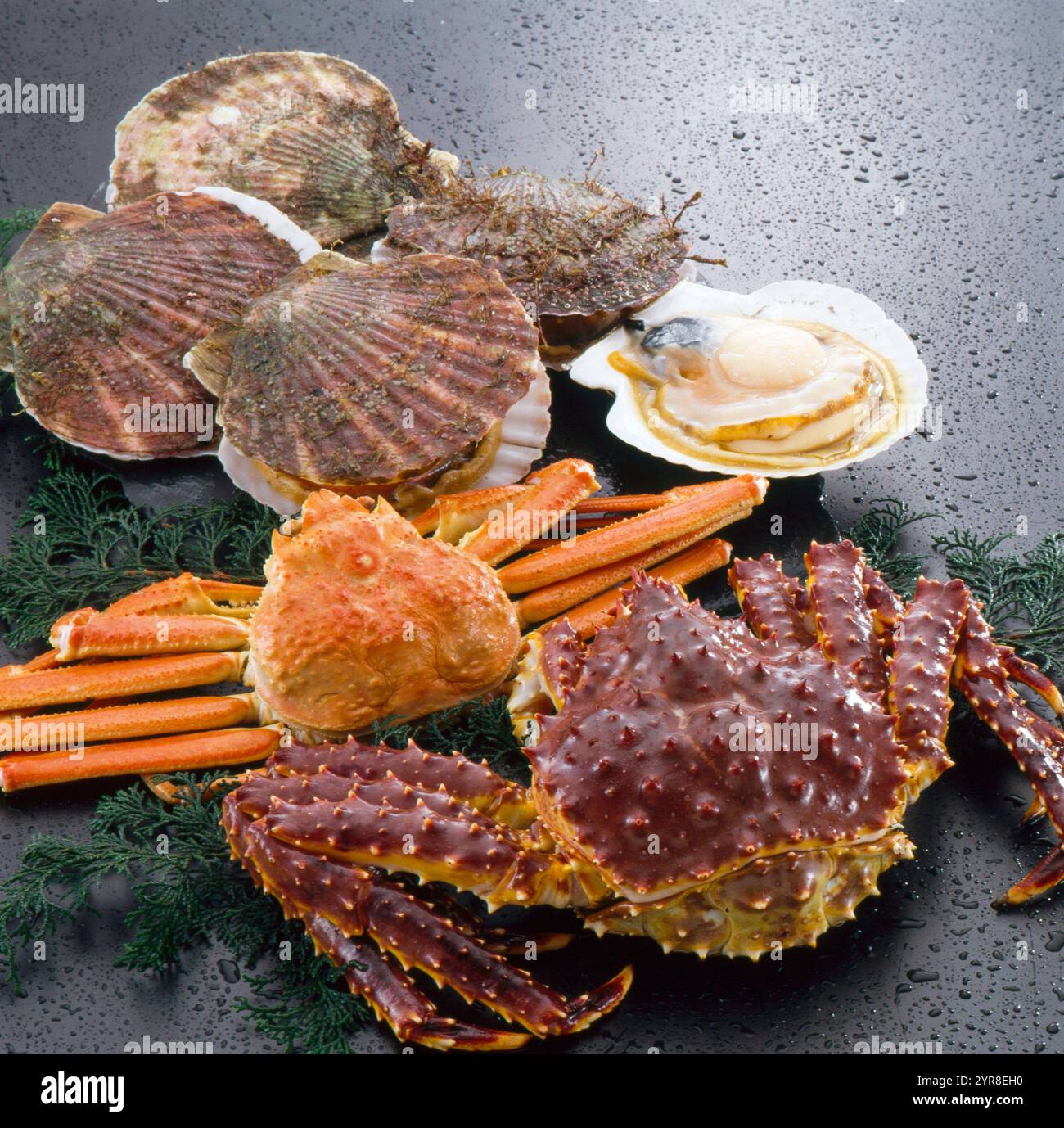 Scallops, snow crab, king crab Stock Photo - Alamy