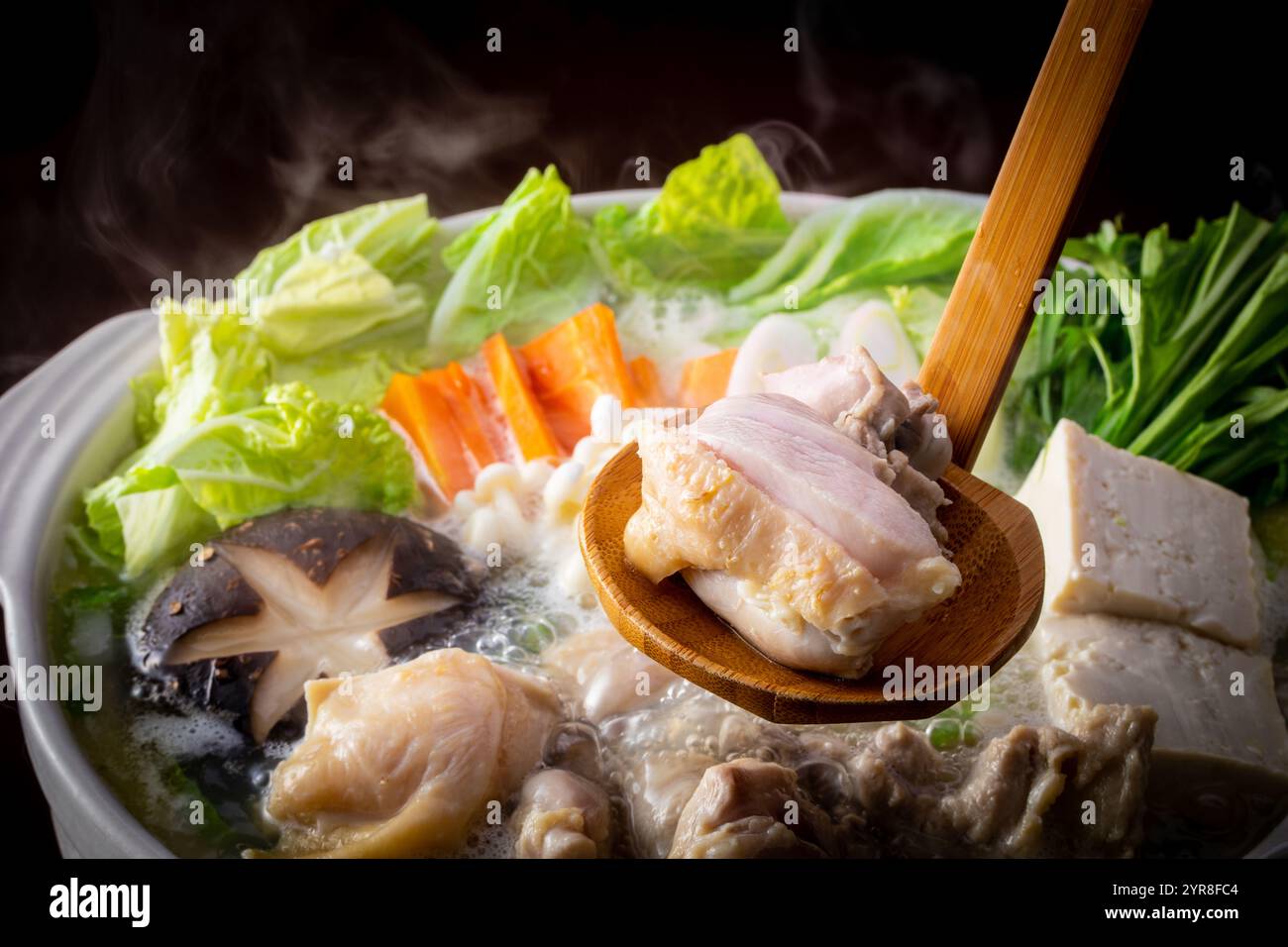 Mizutaki - chicken hotpot Stock Photo - Alamy