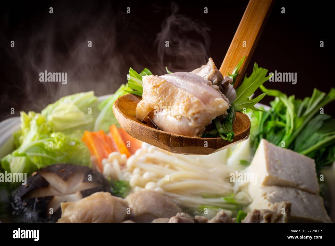 Mizutaki - chicken hotpot Stock Photo - Alamy