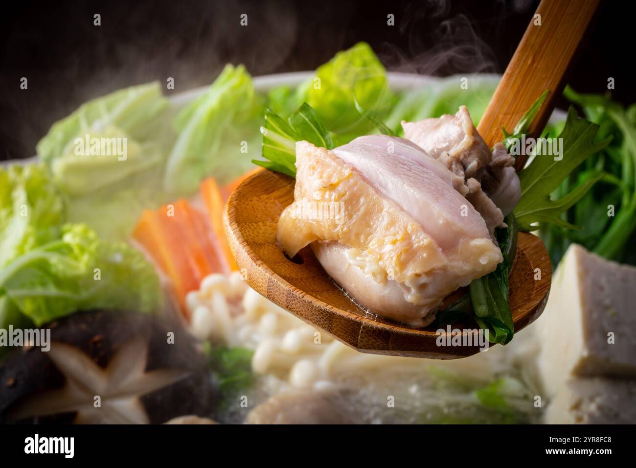 Mizutaki - chicken hotpot Stock Photo - Alamy