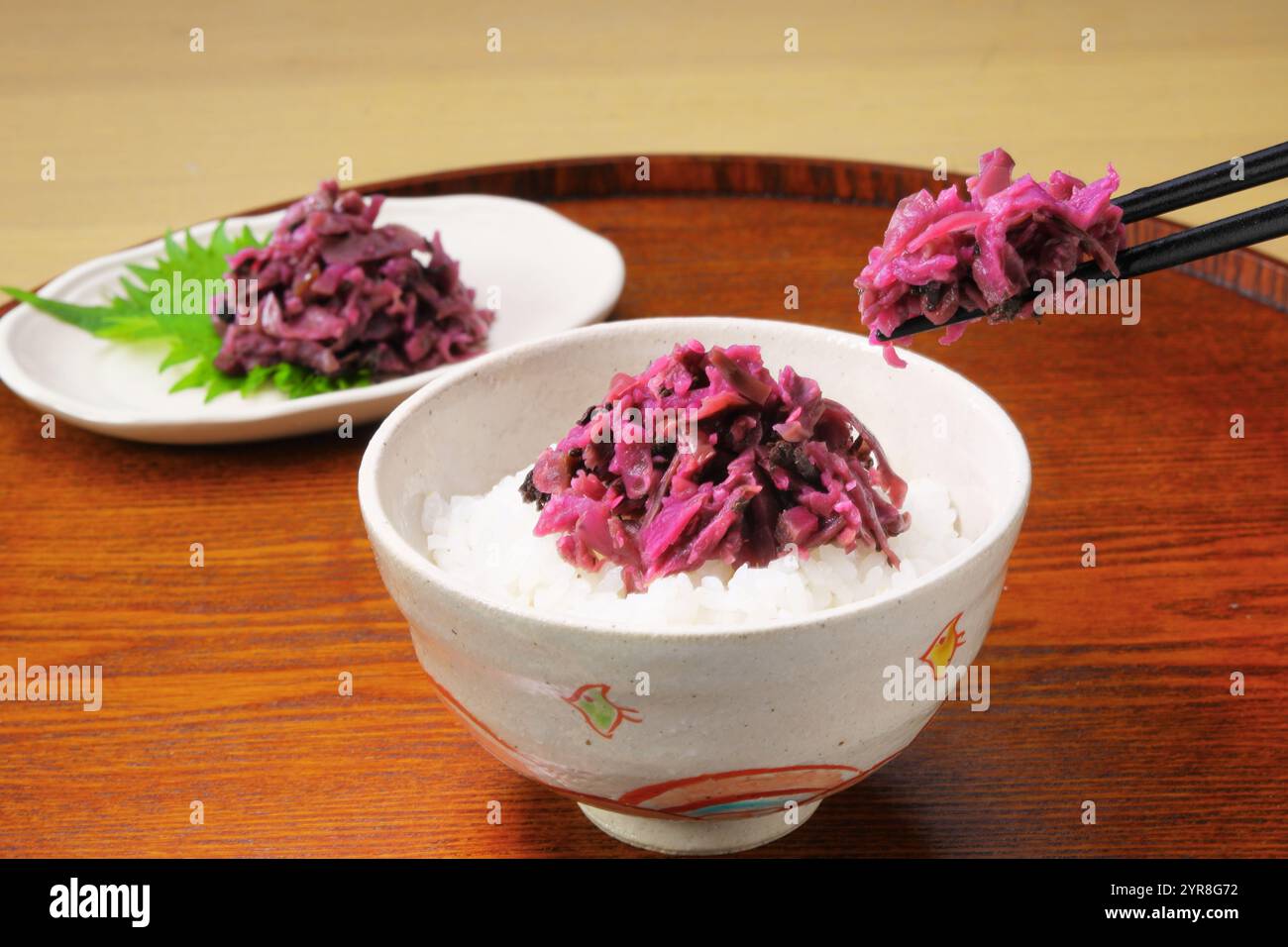 Rice and shibazuke Stock Photo - Alamy