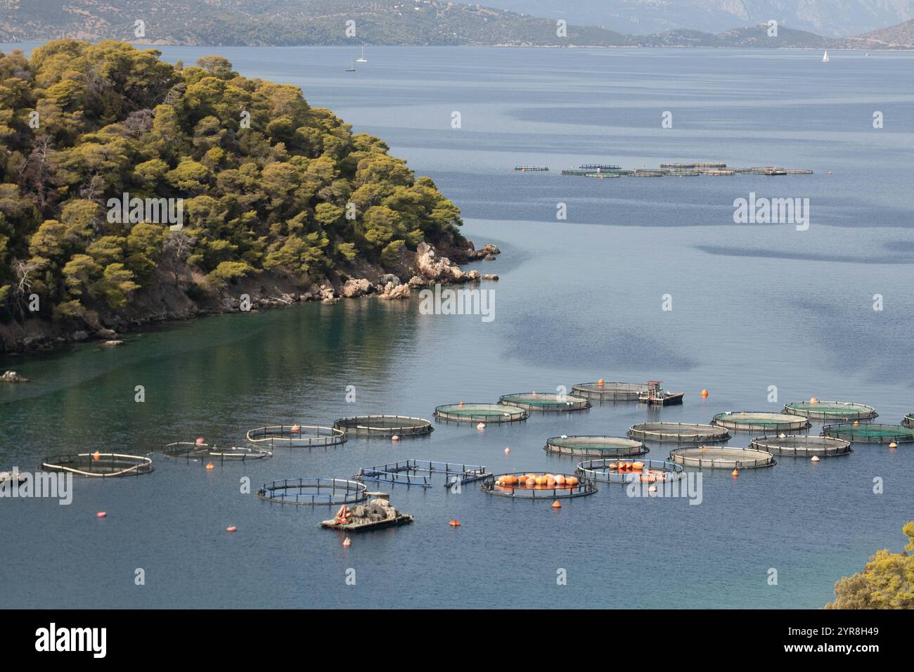 Commercial fish tanks hi-res stock photography and images - Alamy