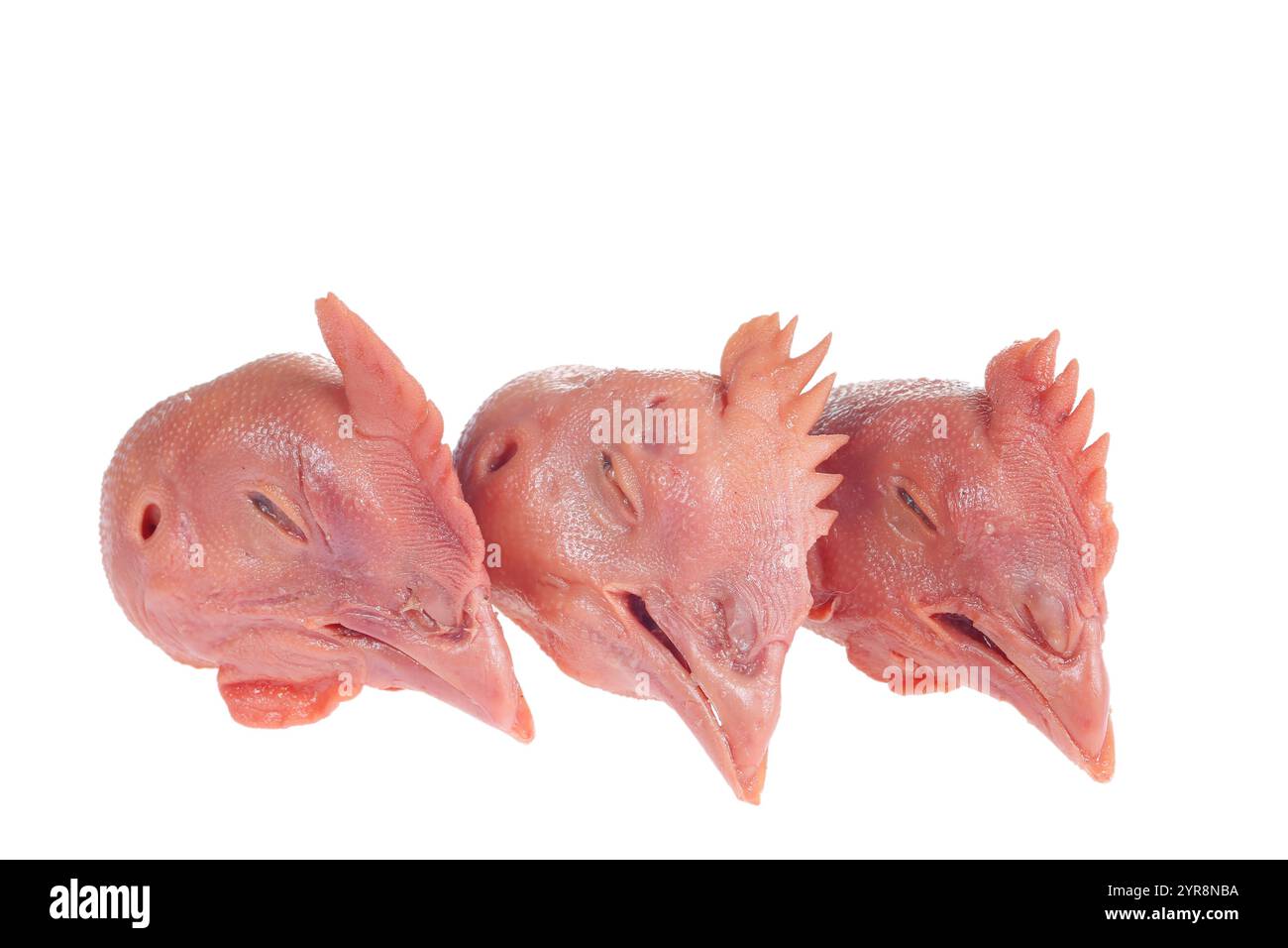 Fresh chicken head on a white background Stock Photo - Alamy