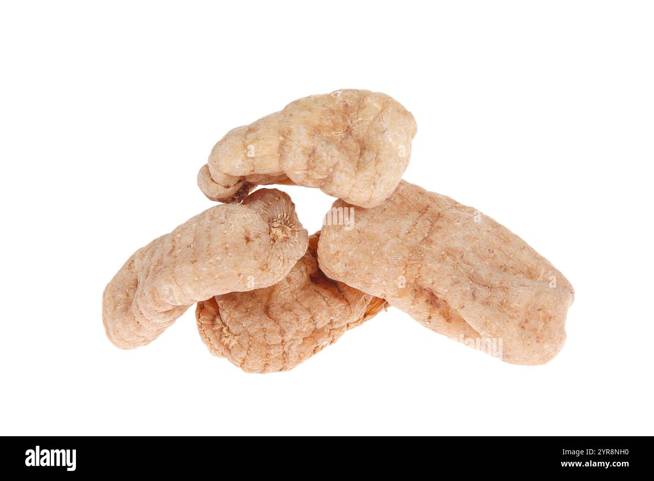 Tianma is isolated on a white background, with Chinese herbal medicine ...