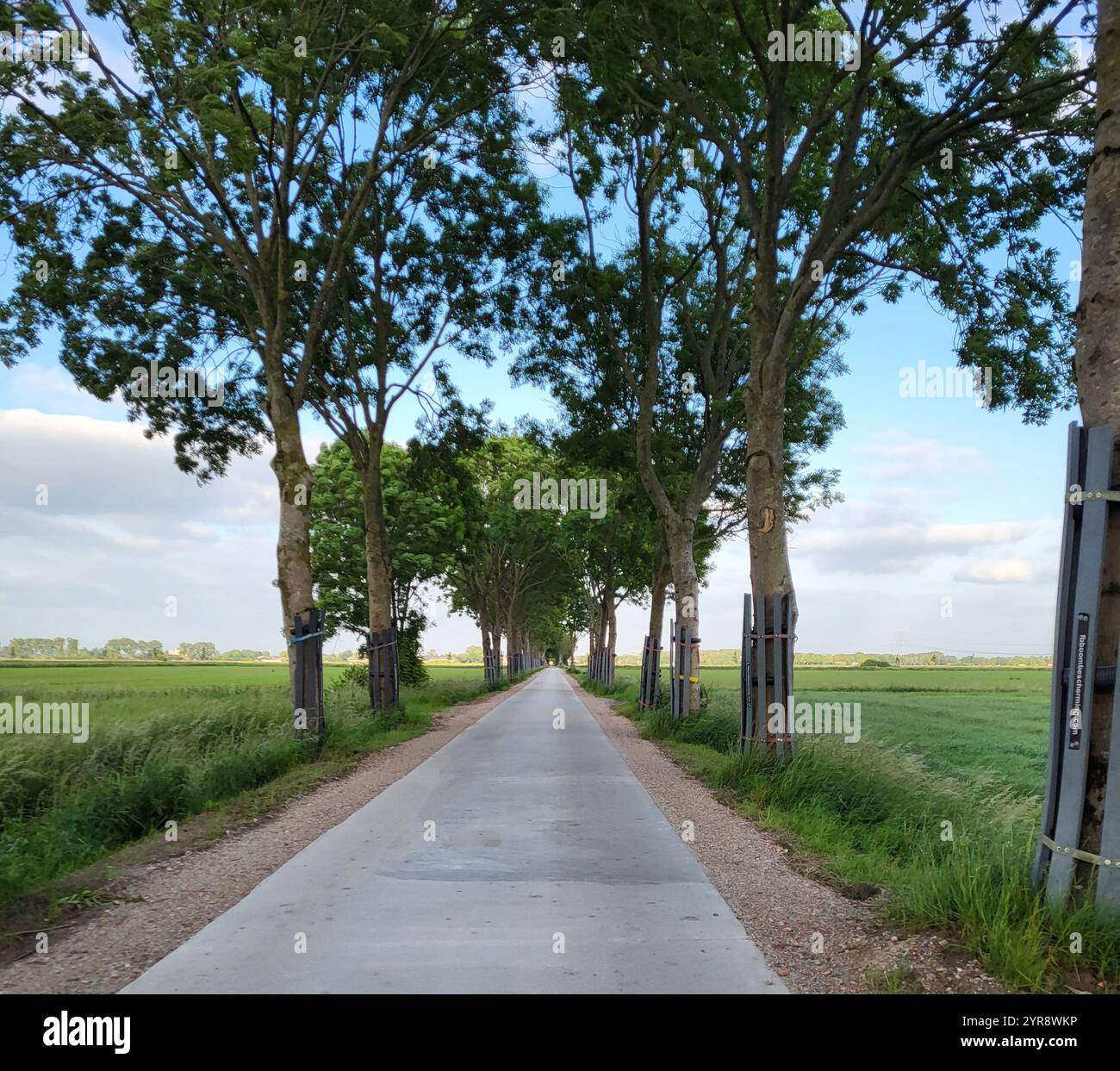 Dutch road bike perspective Stock Photo - Alamy