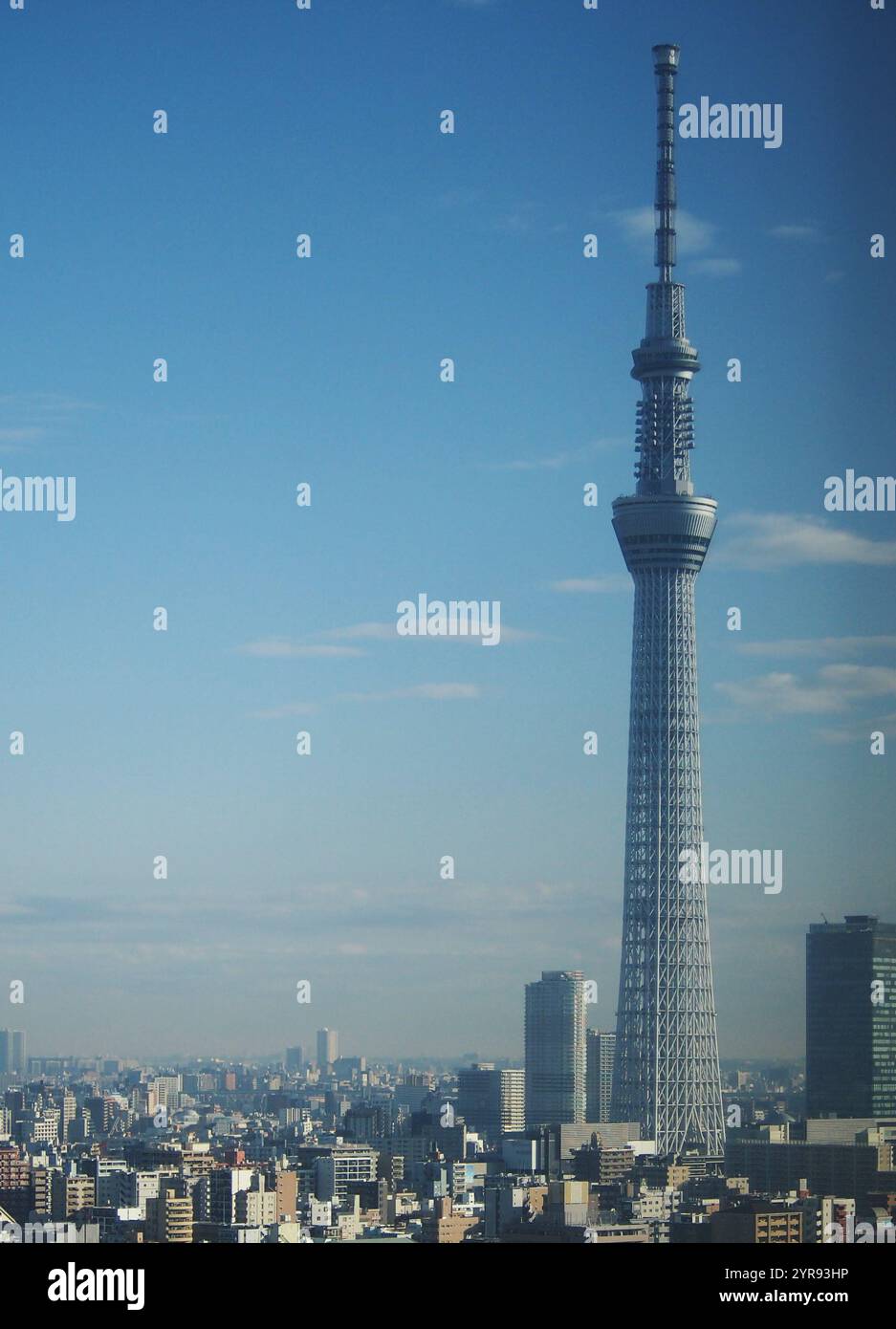 Tokyo Skytree is the tallest building towering above so many other ...