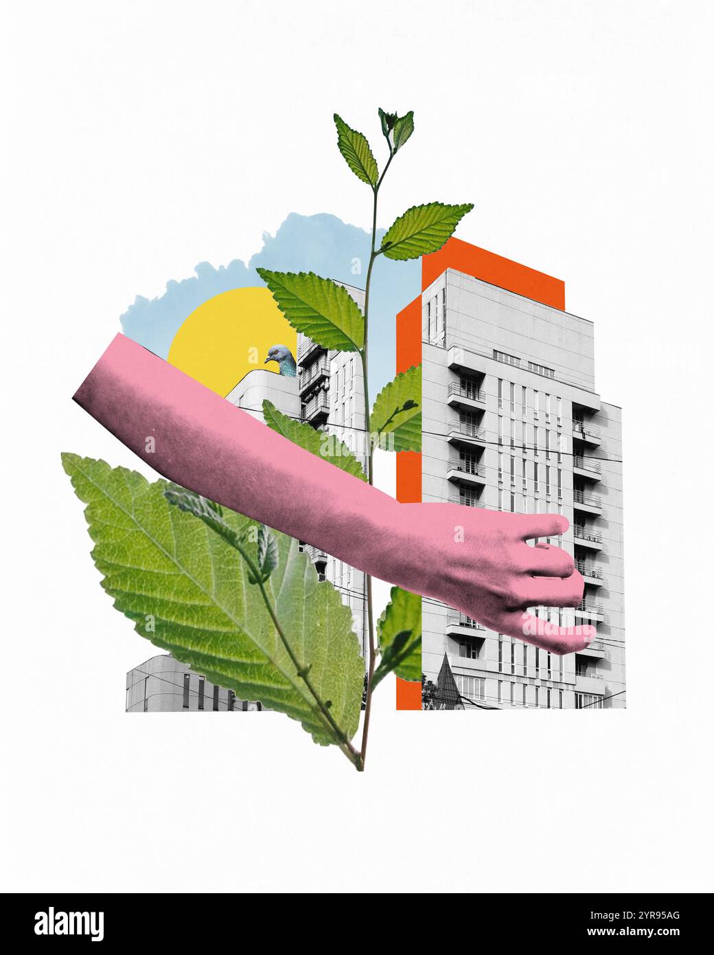 Contemporary art collage. Mix of architectural elements with greenery ...