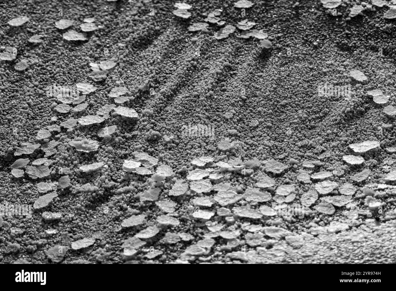 Crystalized ice Black and White Stock Photos & Images - Alamy