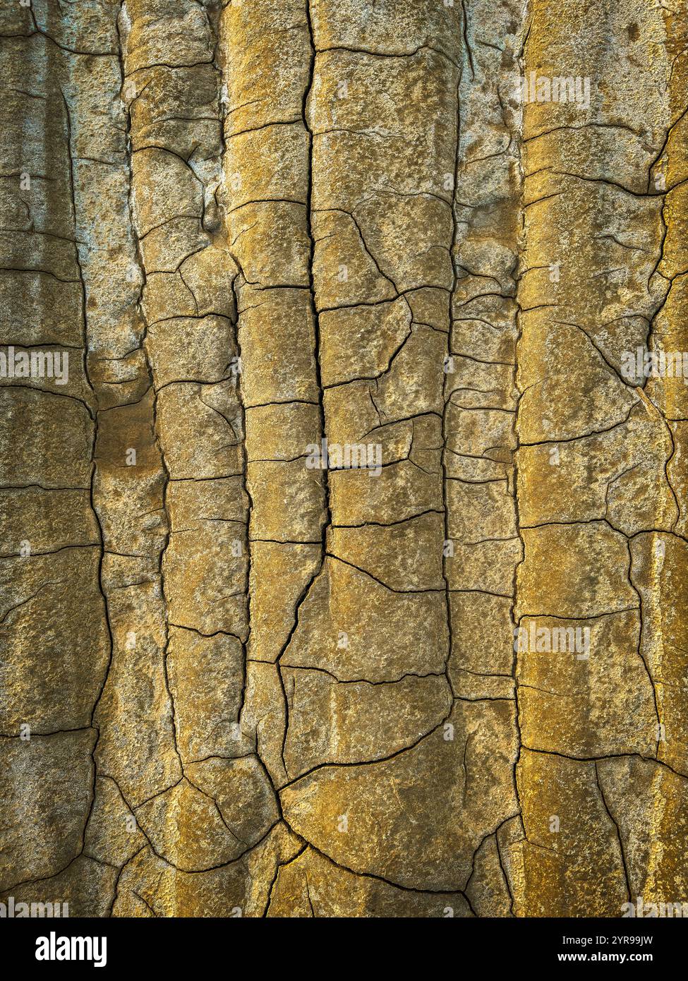 Detailed view of cracked earth surface with rugged patterns and ...