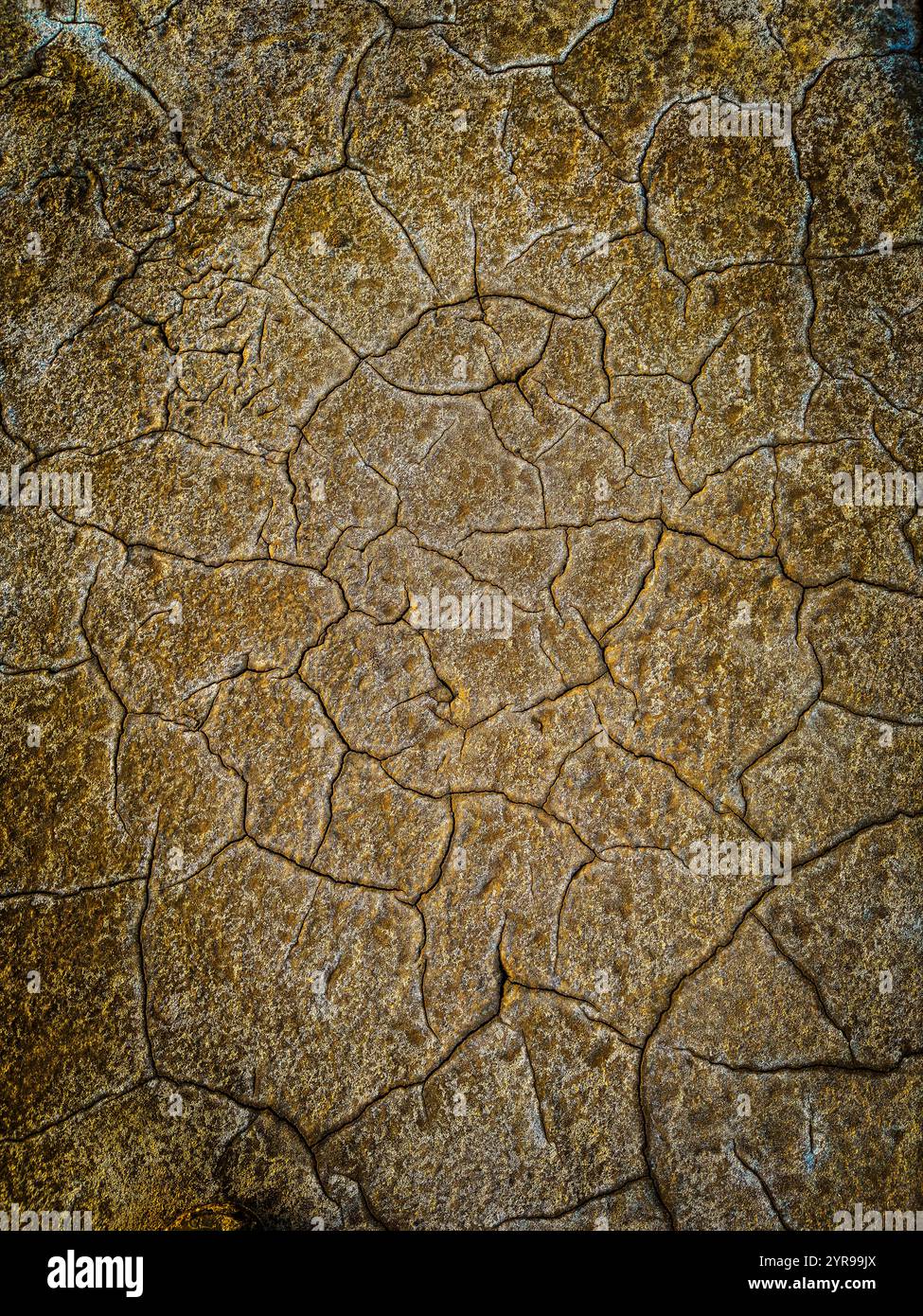 Close-up view of cracked earth surface highlighting natural arid ...