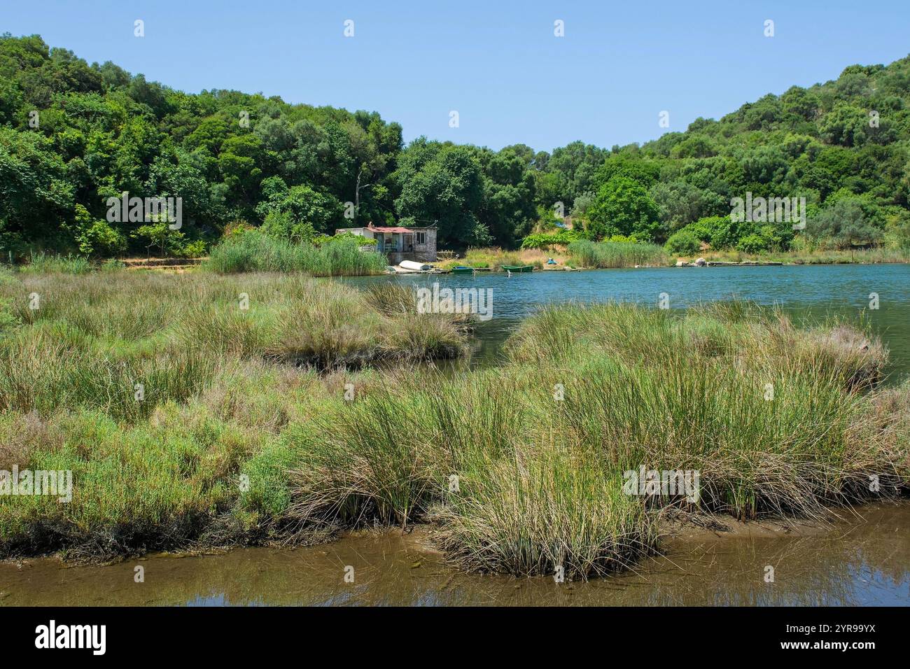 Lake Butrint in Southern Albania, part of the Butrint National Park. A ...
