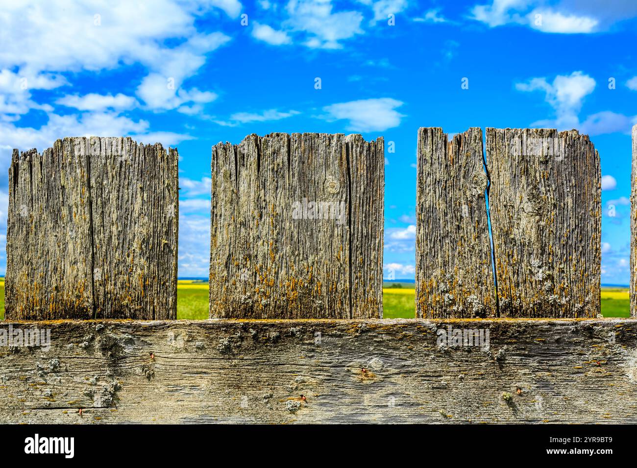 Three wooden posts are standing in a field. The sky is blue and there ...