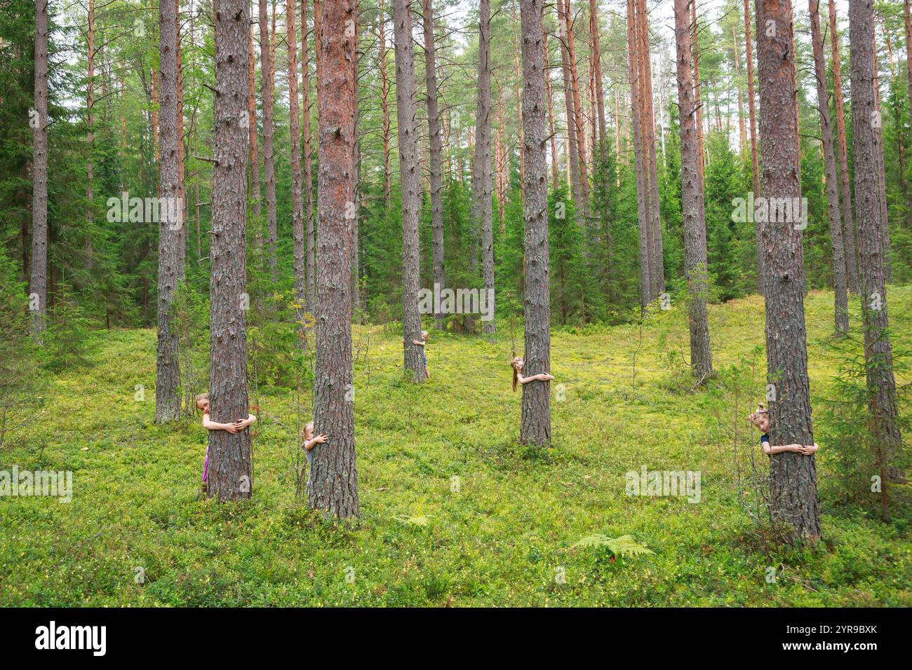 Five young girls of different age hugging tall pine trees in a vibrant ...