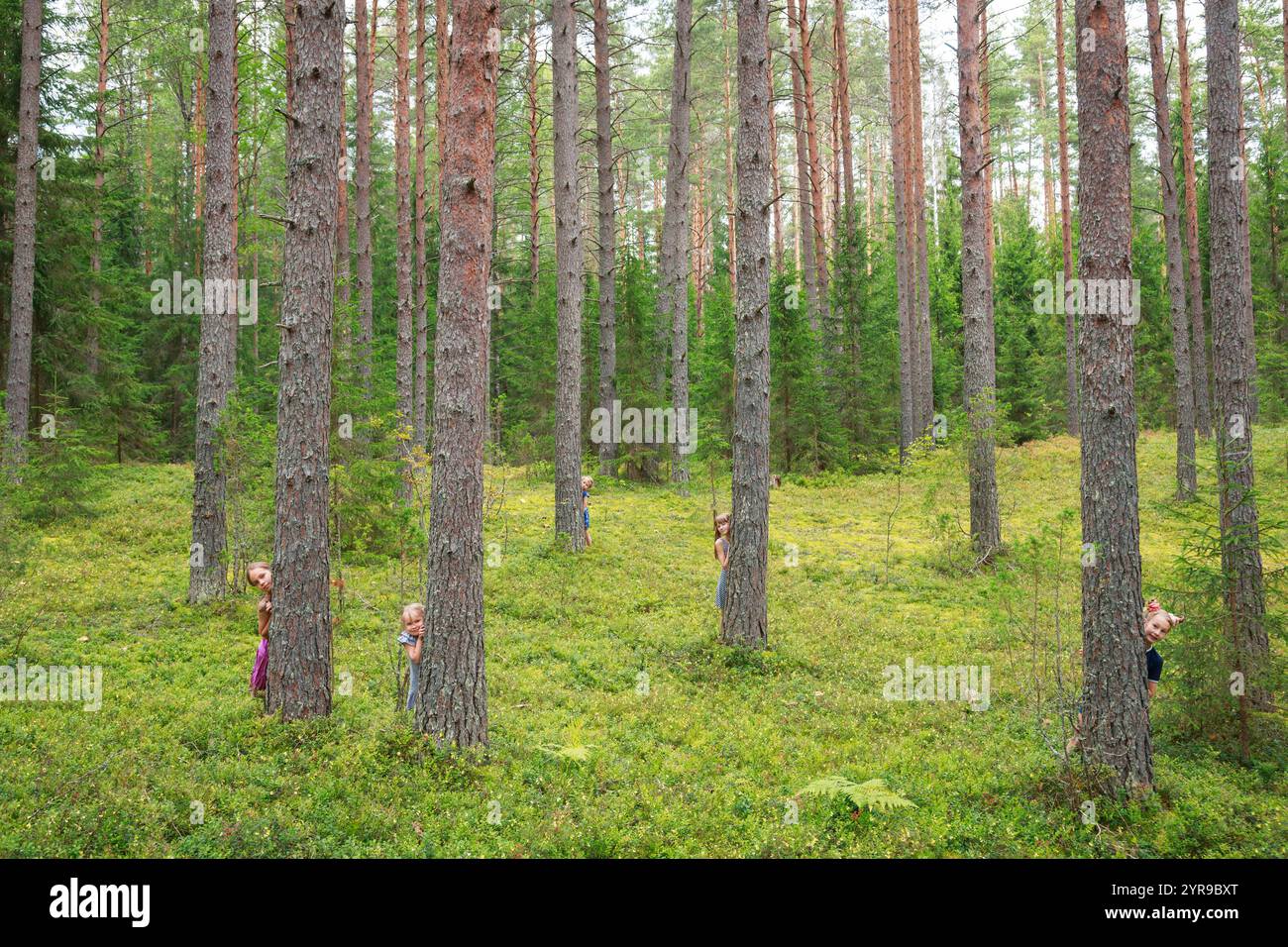 Five young girls of different age hiding behind pine trees playing in a ...