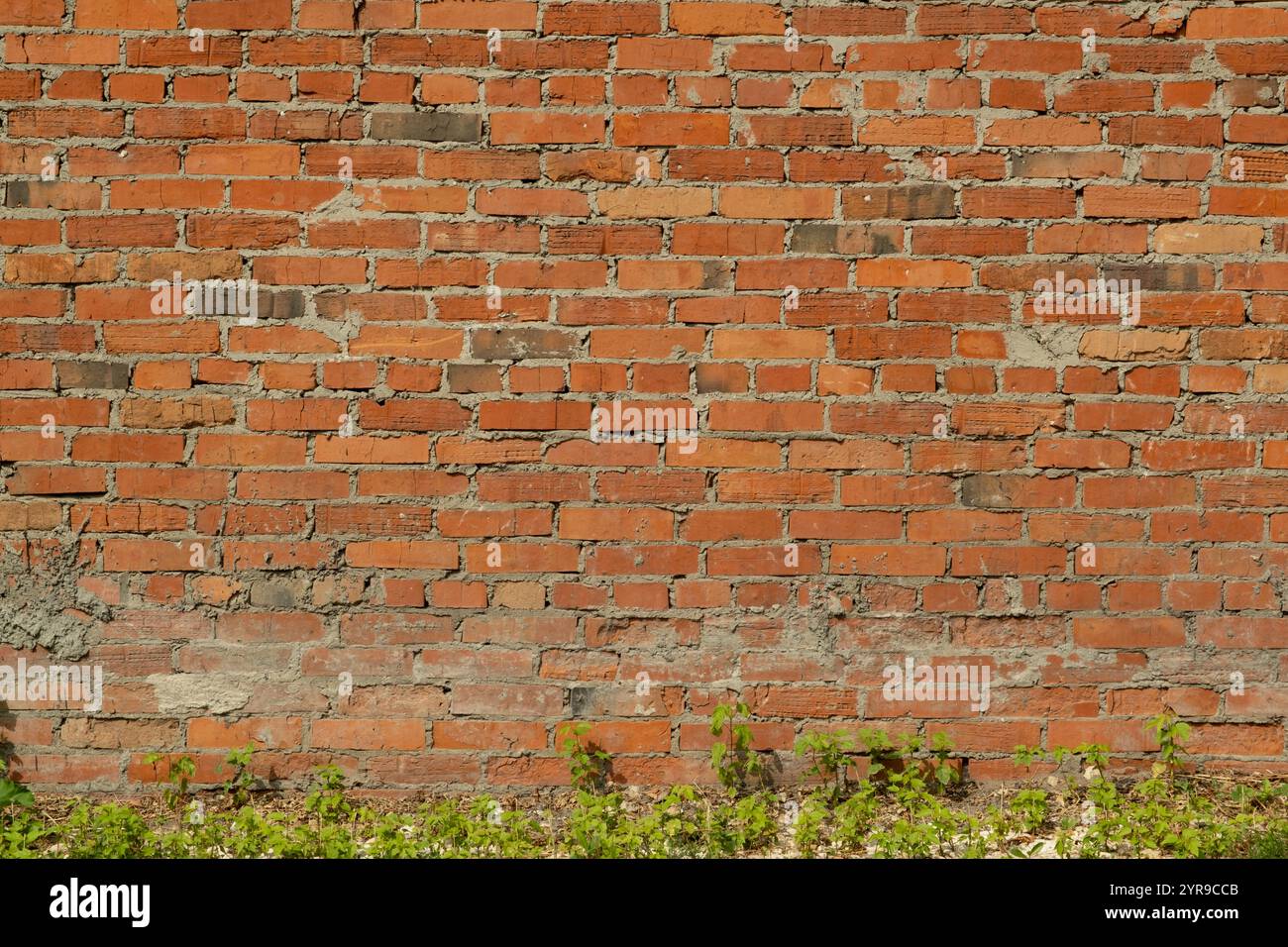 A rustic orange brick wall with visible mortar, perfect for ...