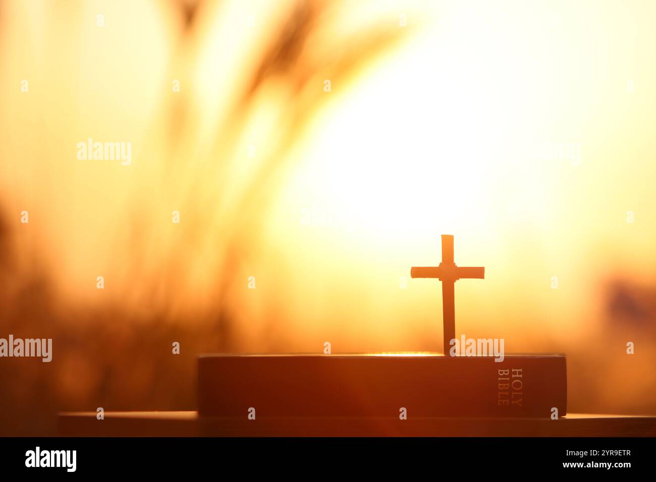 The cross of Jesus Christ on the holy bible, autumn reeds and barley ...