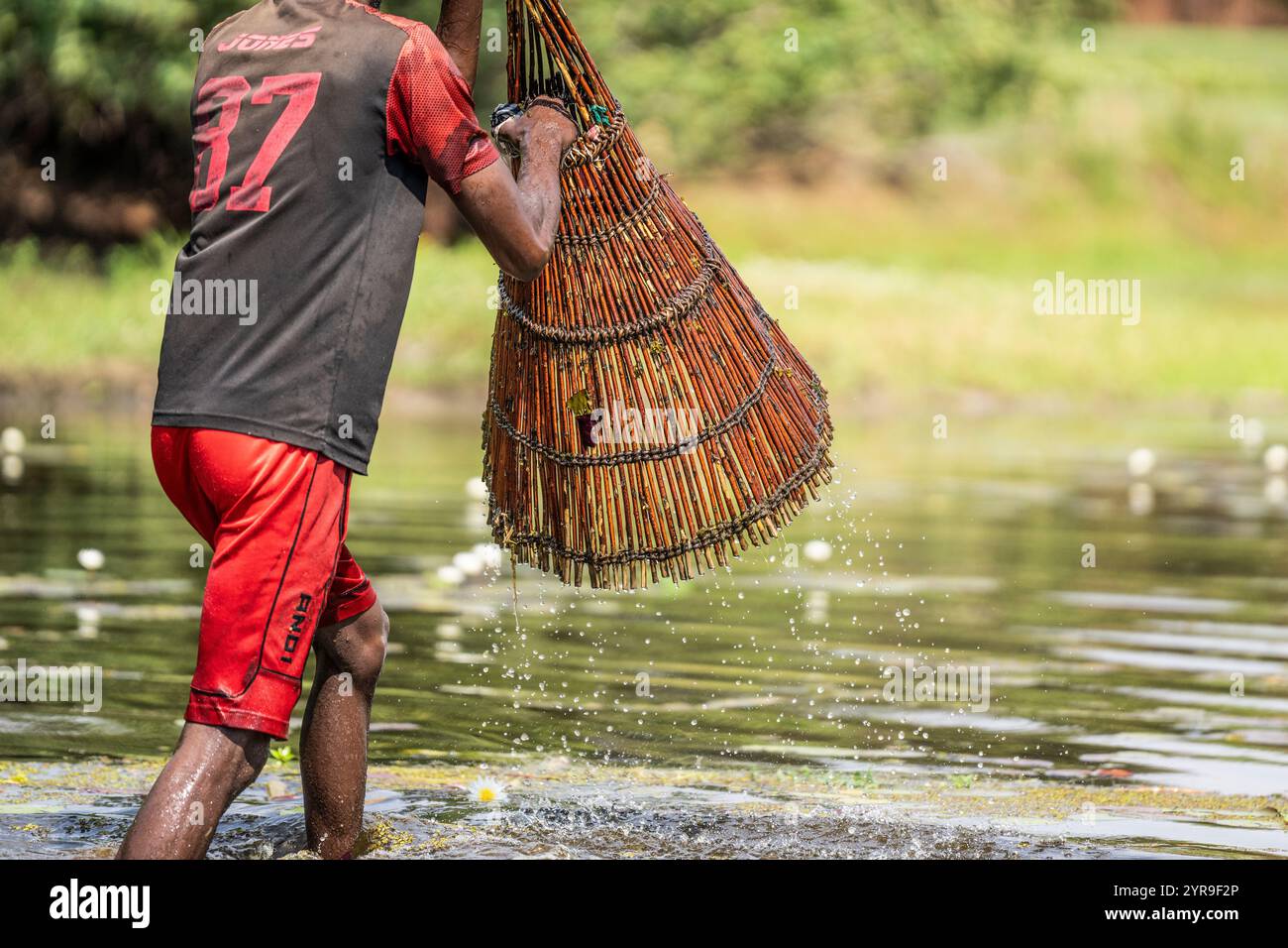 Fisherman catching fish with a basket in the river. Kalabo, Zambia ...