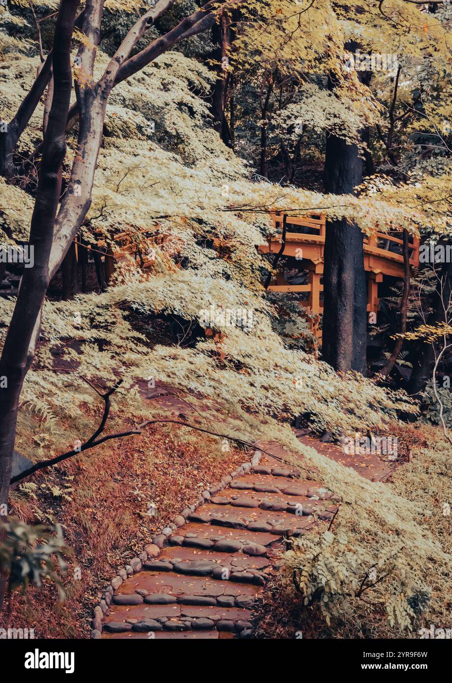 Traditional bridge in Koishikawa Korakuen Garden, a park in Tokyo ...
