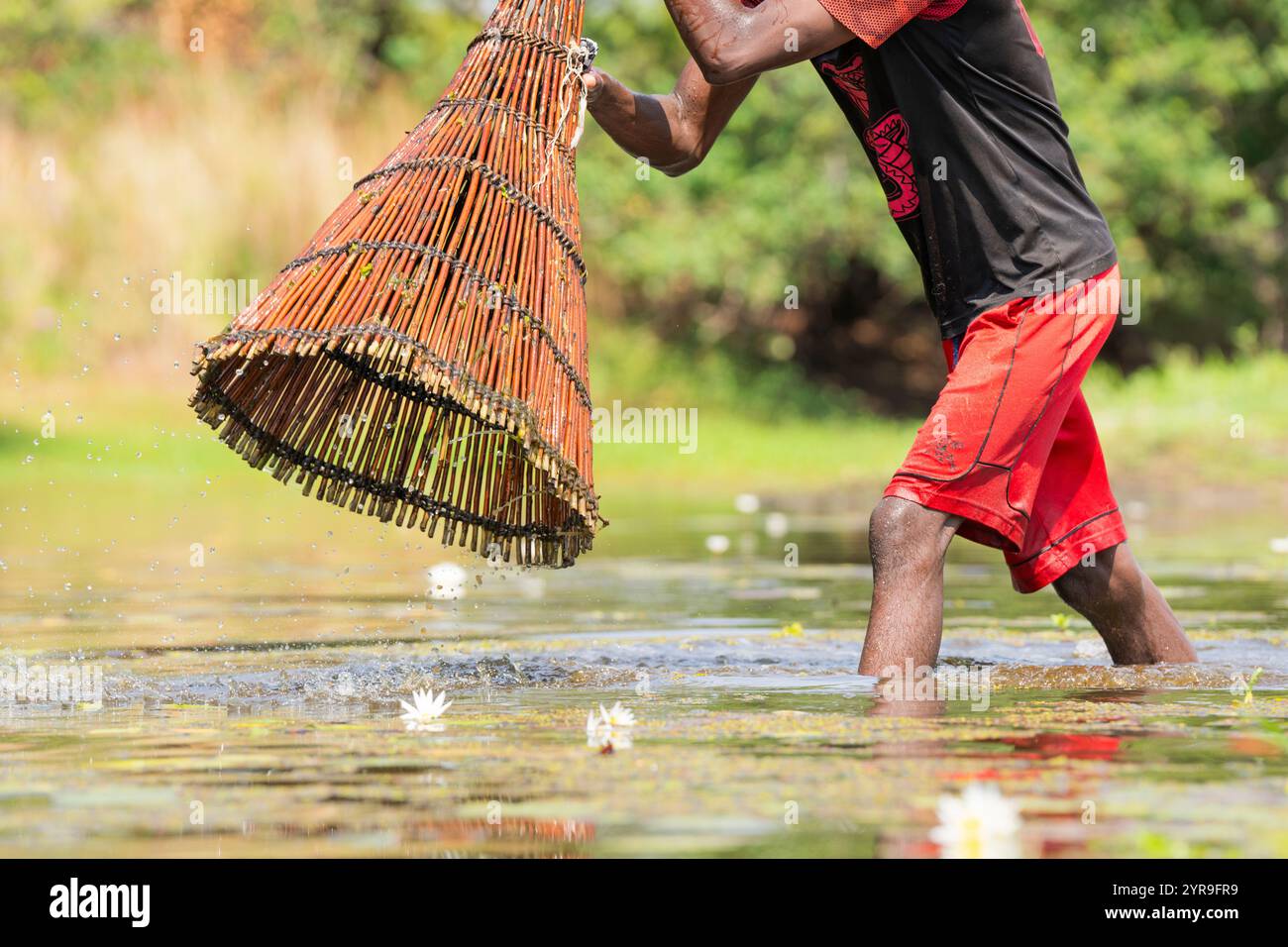 Fisherman catching fish with a basket in the river. Kalabo, Zambia ...