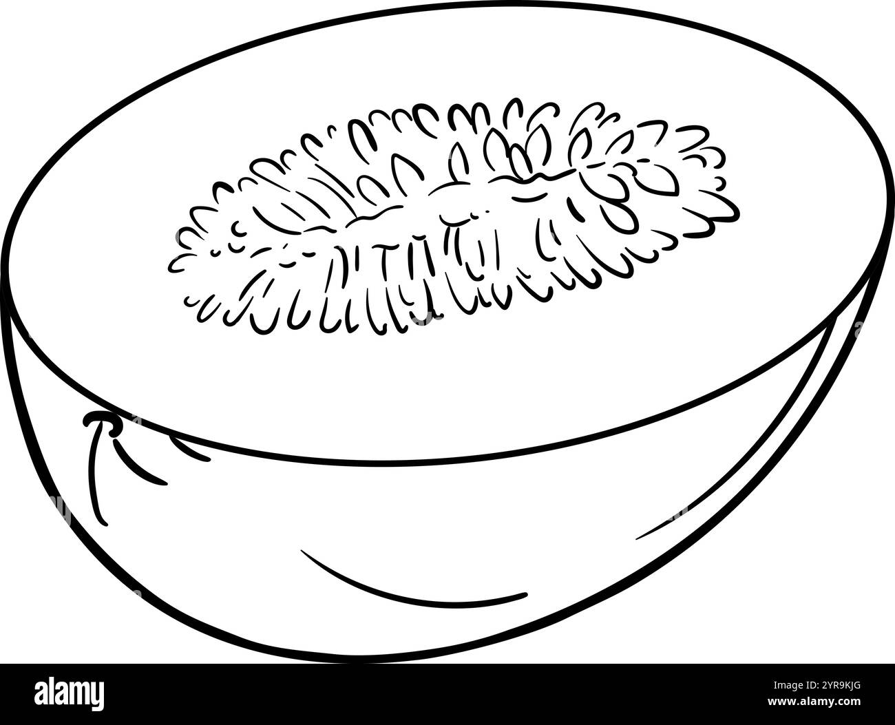 Melon Fruit Isolated Outline Illustration Stock Vector Image & Art - Alamy