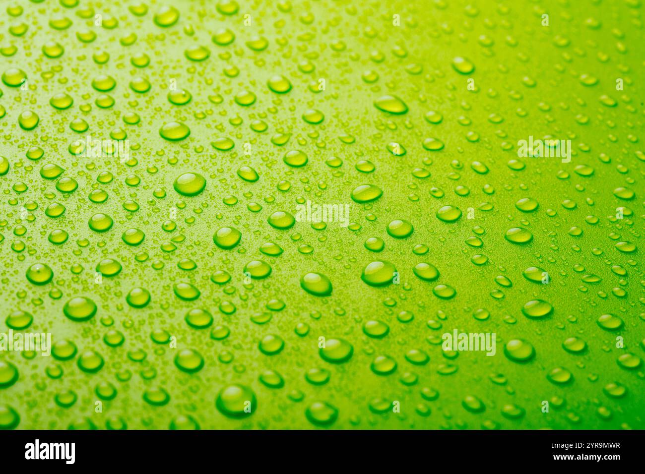 Green water drops background close-up Stock Photo - Alamy
