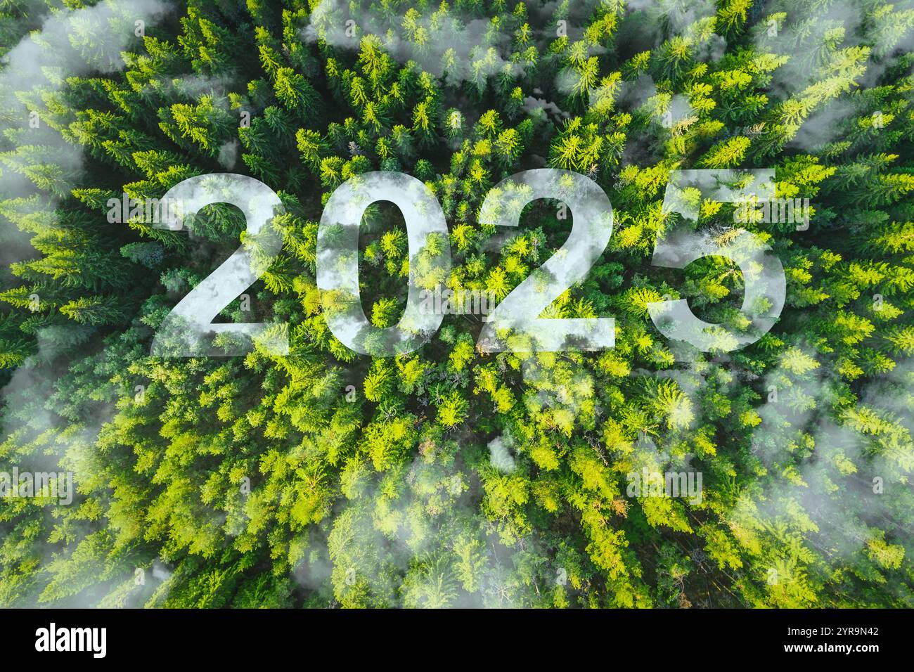 New year 2025 environment inspirational abstract nature background of ...
