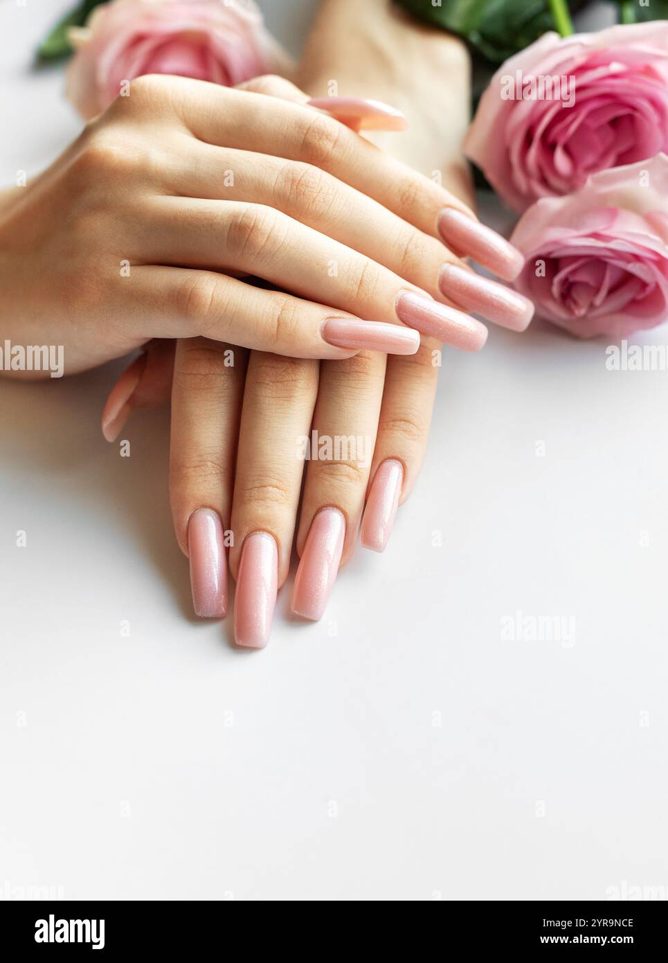Perfect pastel pink manicure with pink roses on a white background ...