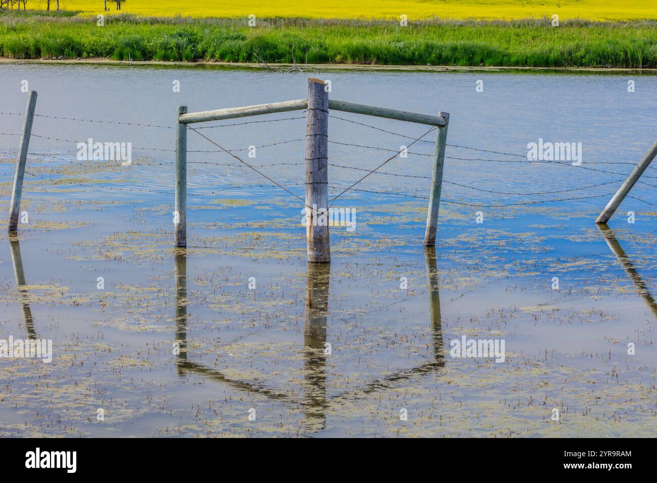 A fence post is in the water, with a wire fence behind it. The water is ...