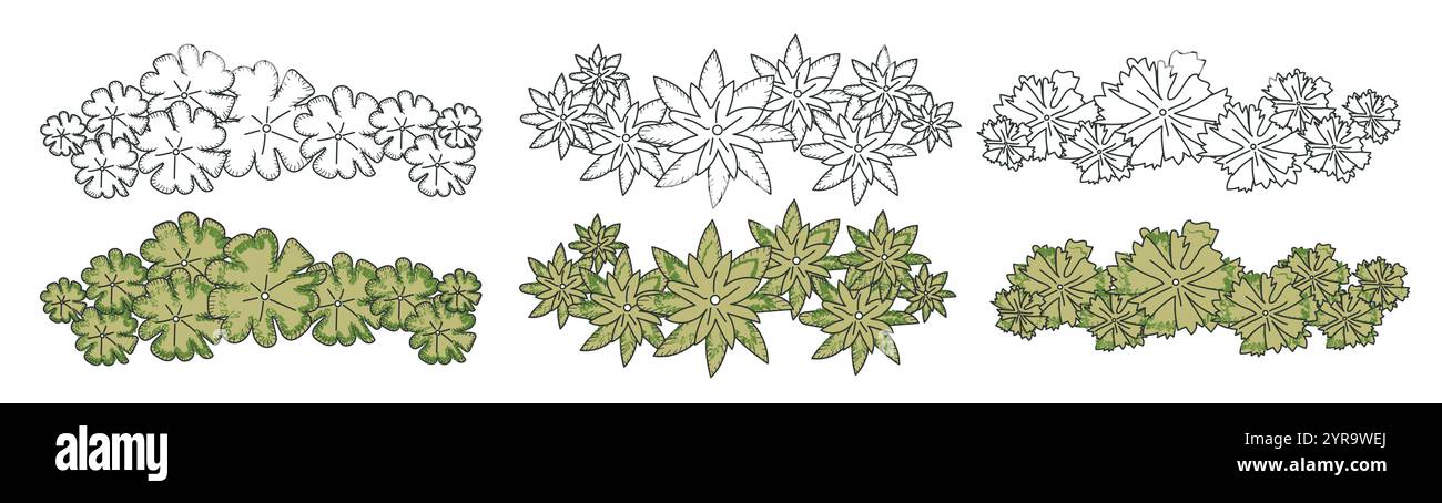 Green foliage in forest top Cut Out Stock Images & Pictures - Alamy