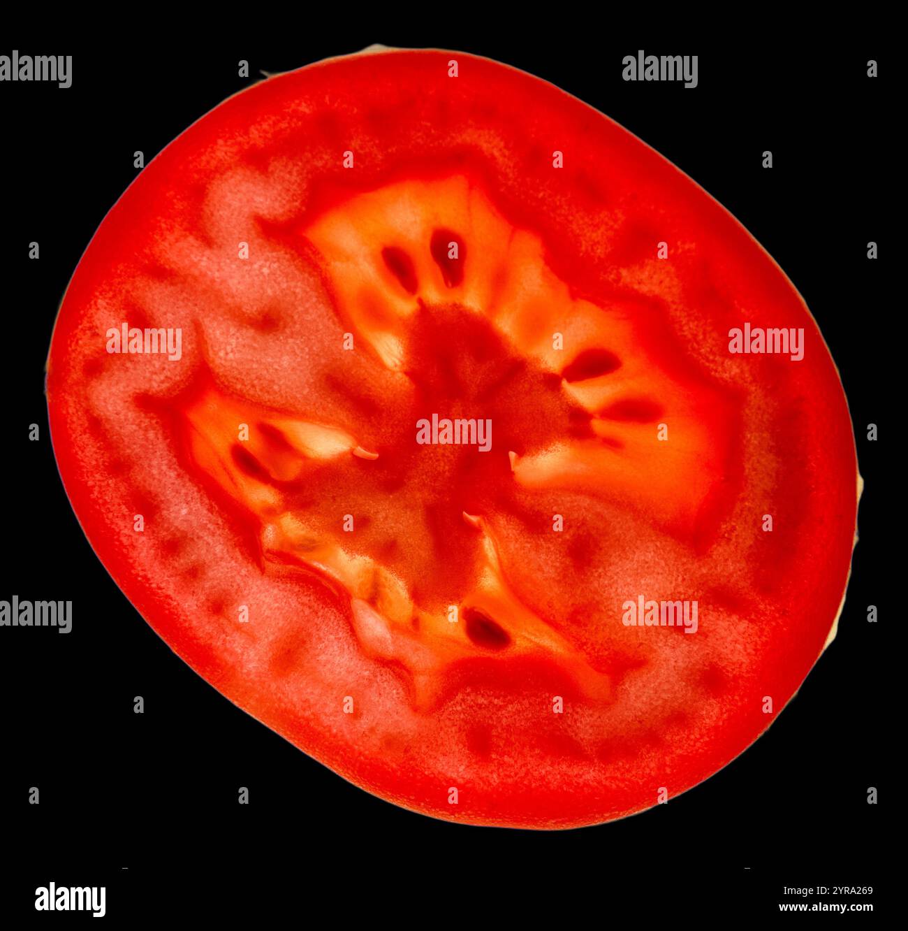 tomato cross section backlit with structure Stock Photo - Alamy
