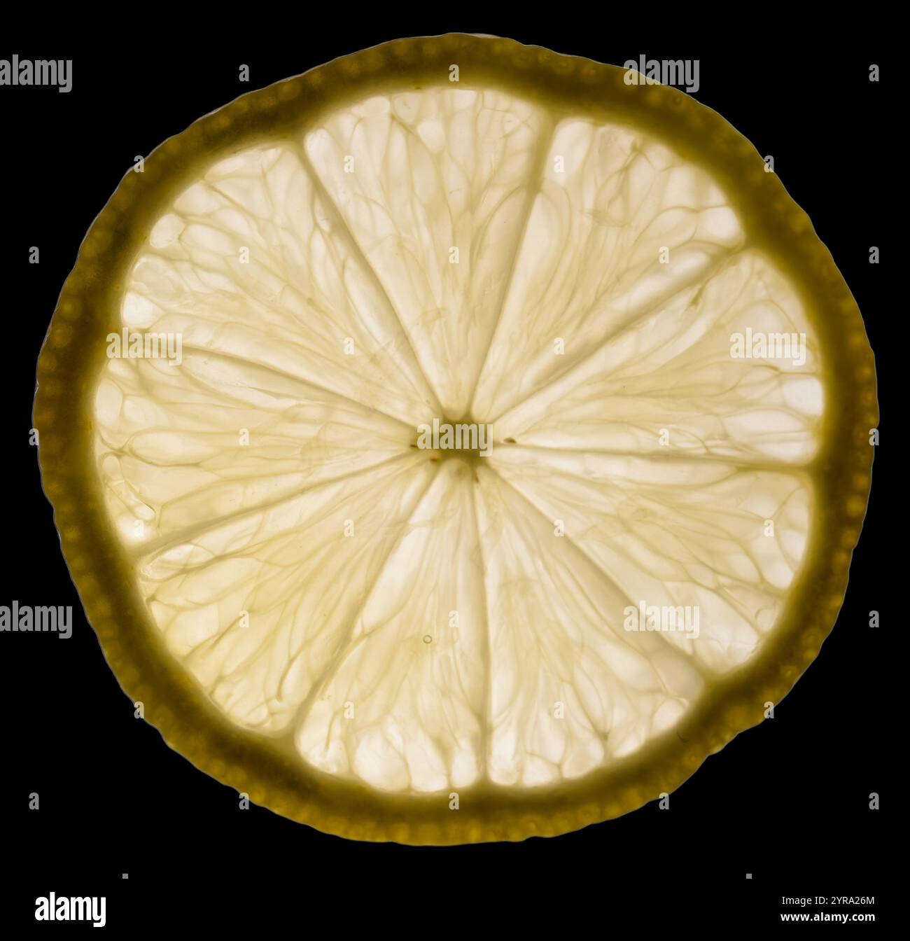 cross section of lemon backlit structure Stock Photo - Alamy