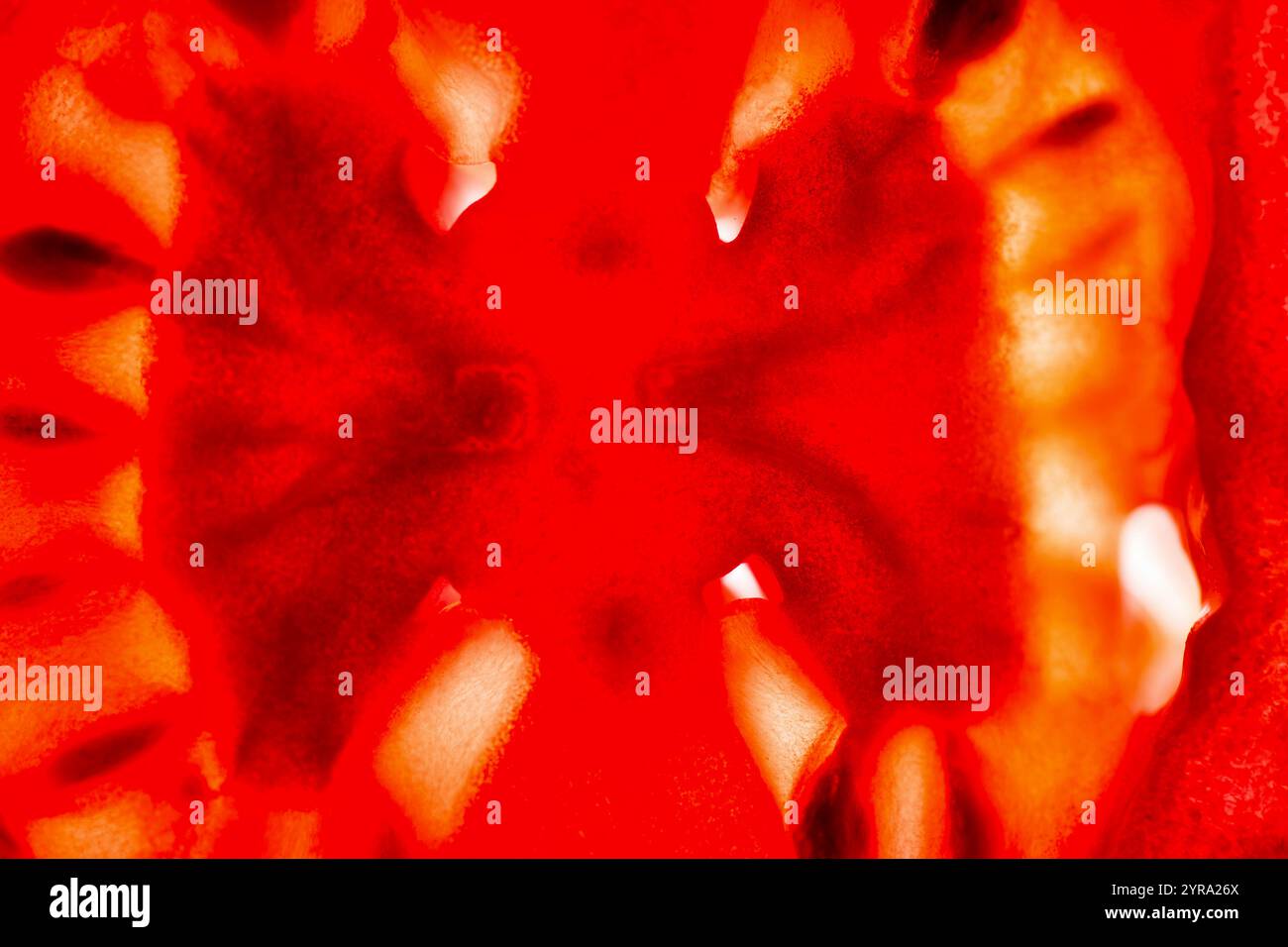 tomato cross section backlit with structure Stock Photo - Alamy