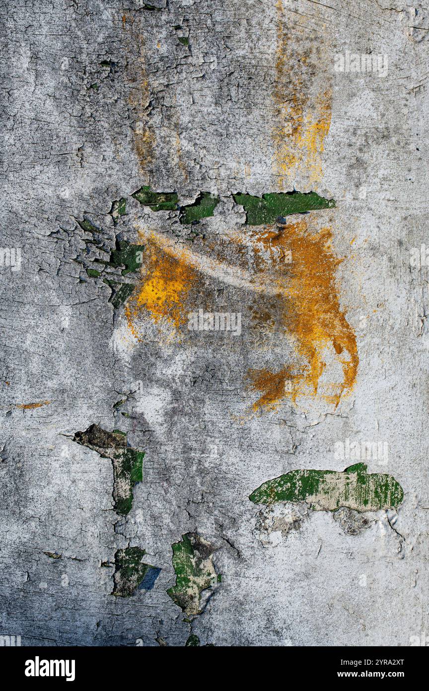 Urban Texture of paint peeling wall, grey, green and yellow colours ...