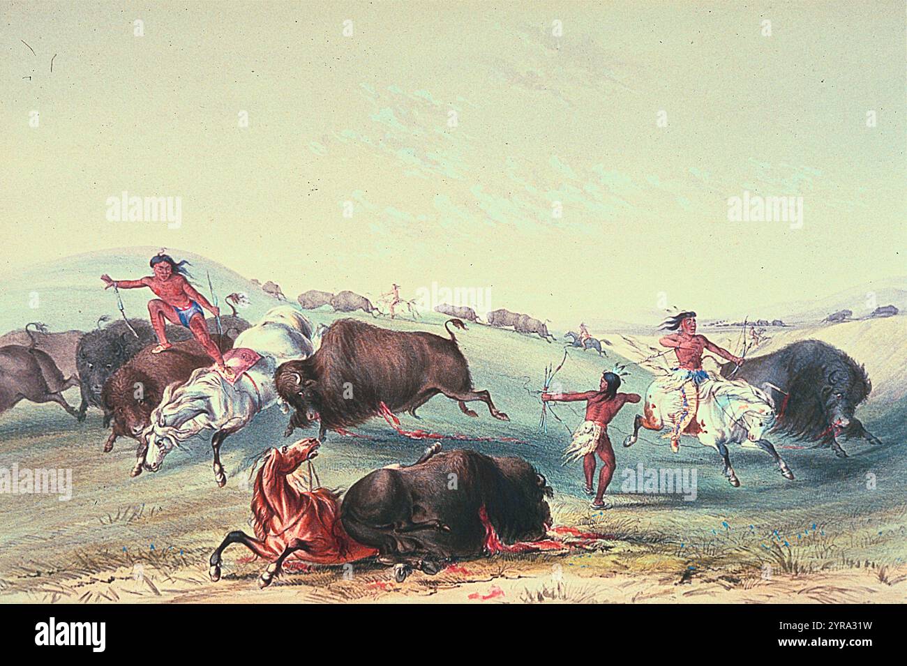 First Nation hunting: Group participating in the bison hunt/ Lithograph ...