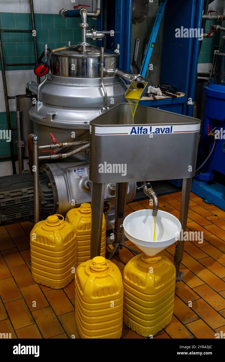 The olive oil passes through a final filter to remove further ...