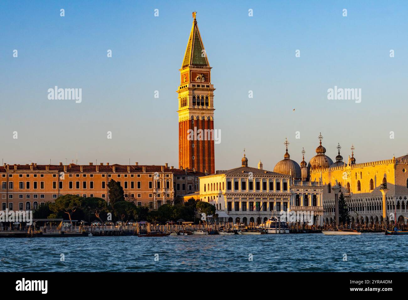 The bell tower & domes of the Basilica of St. Mark with golden light at ...