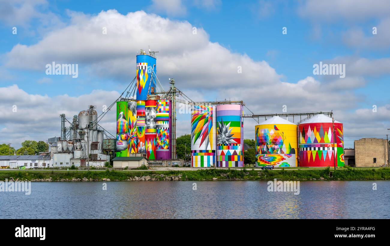 Silo Murals, part of the Shine Bright Saginaw Mural (regentrification ...