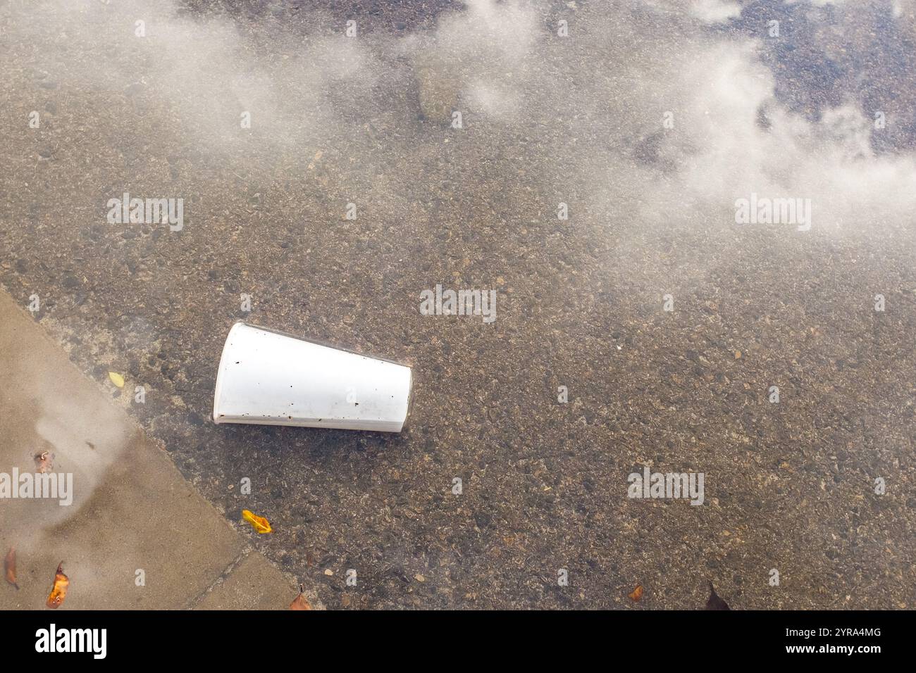 Discarded plastic beaker sitting in puddle on a road with clouds ...