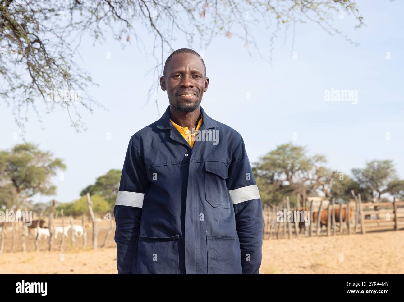 village african man farmer with animals alone at the farm kraal pen ...